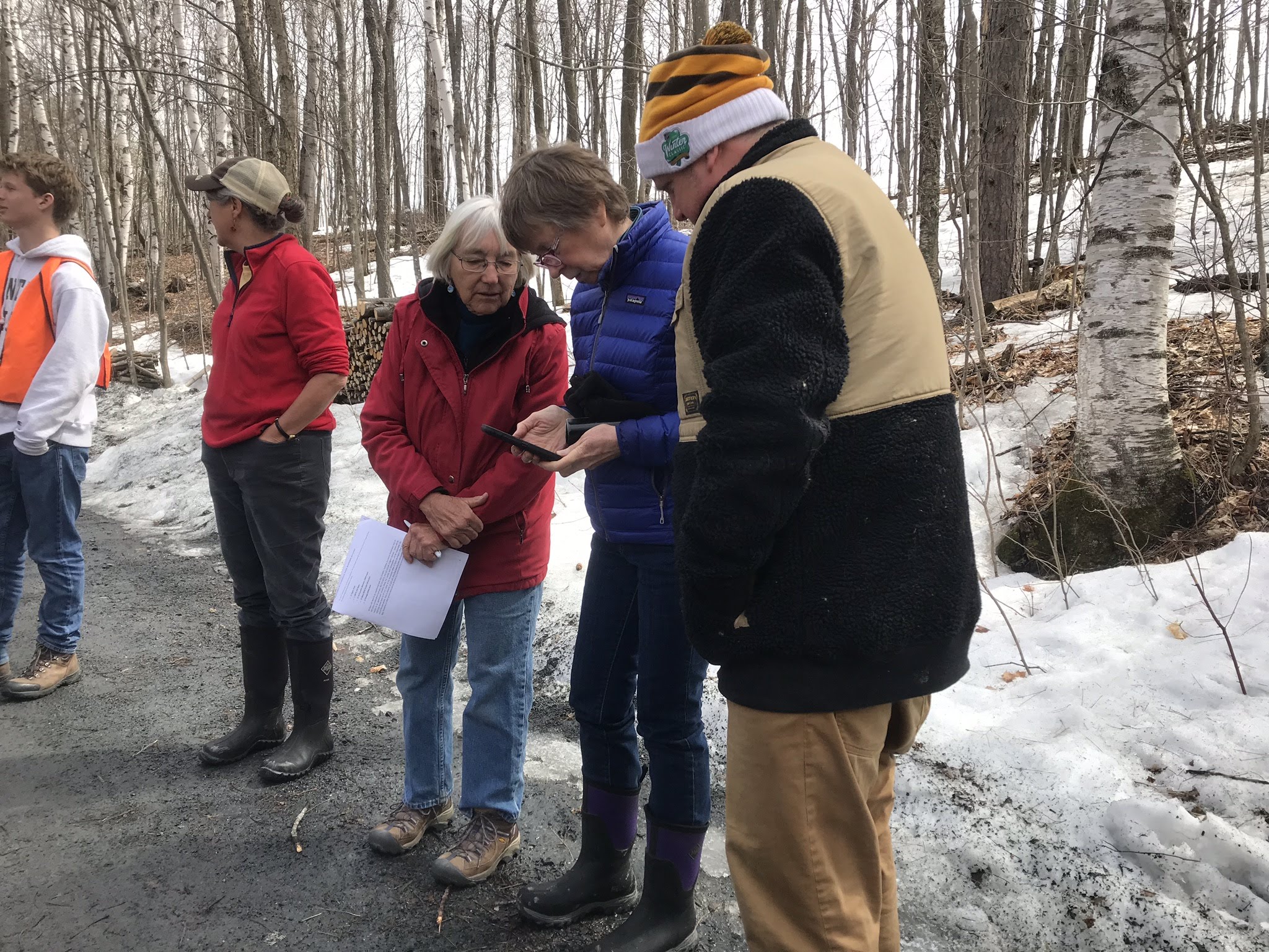 Emerald Ash Borer Management | Vermont Urban & Community Forestry Program