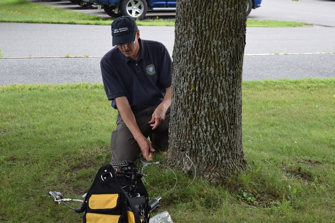 Insecticide Treatment Resources | Vermont Urban & Community Forestry ...