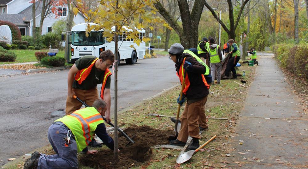 Home | Vermont Urban & Community Forestry Program