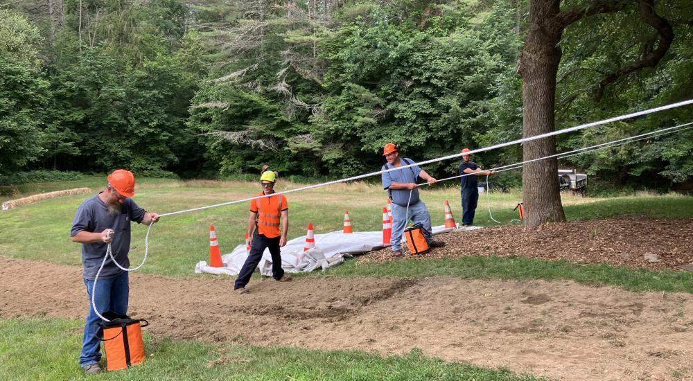 Home | Vermont Urban & Community Forestry Program