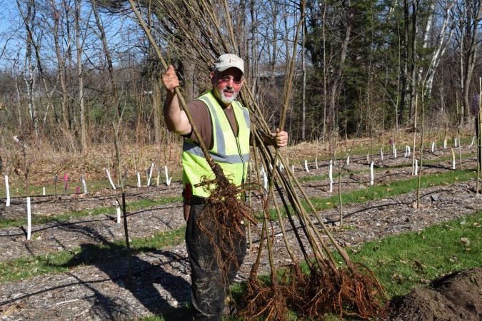 Tree Wardens | Vermont Urban & Community Forestry Program