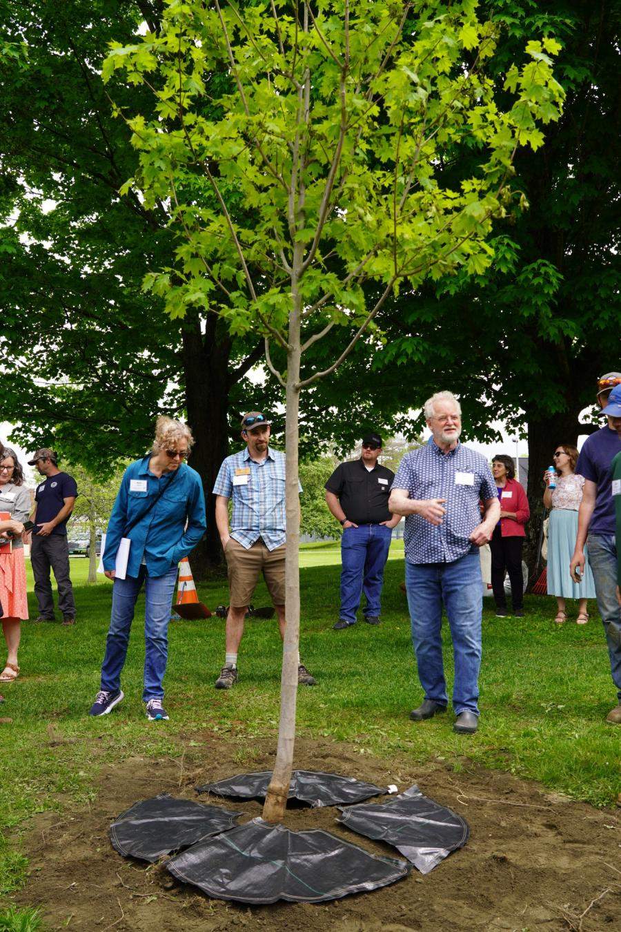 Vermont Urban & Community Forestry Conference | Vermont Urban ...