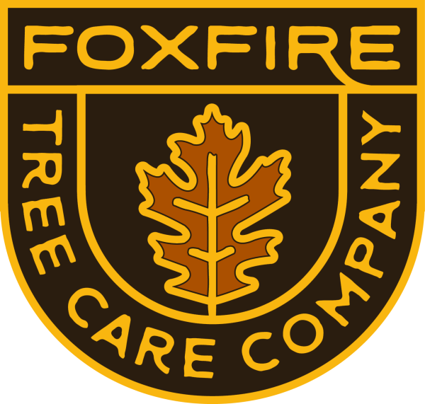 Vermont Urban & Community Forestry Conference | Vermont Urban & Community Forestry Program