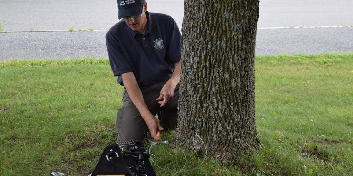 Insecticide Treatment Resources | Vermont Urban & Community Forestry ...