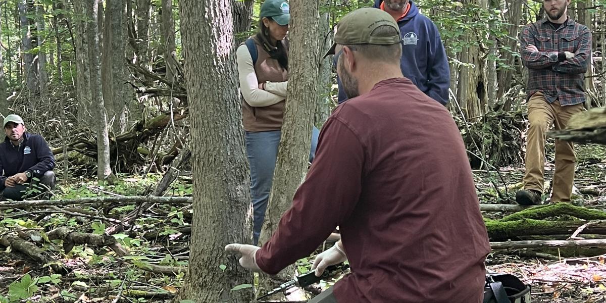 Black Ash Project | Vermont Urban & Community Forestry Program